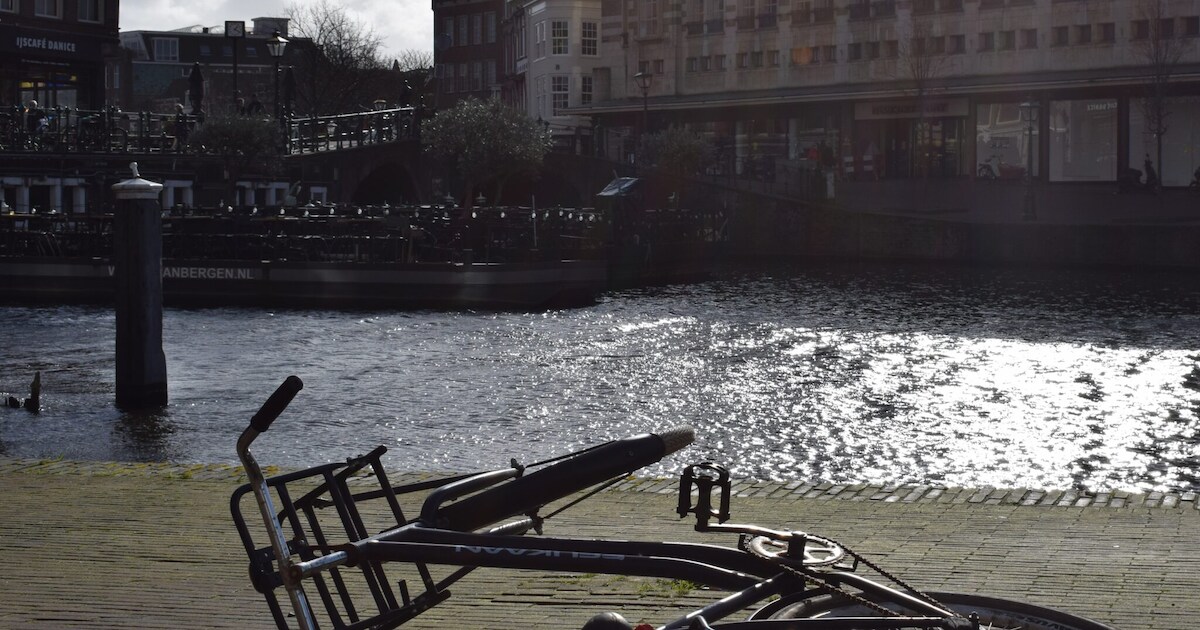Pak de paraplu er maar bij: code geel afgegeven in Leiden | Regio ...