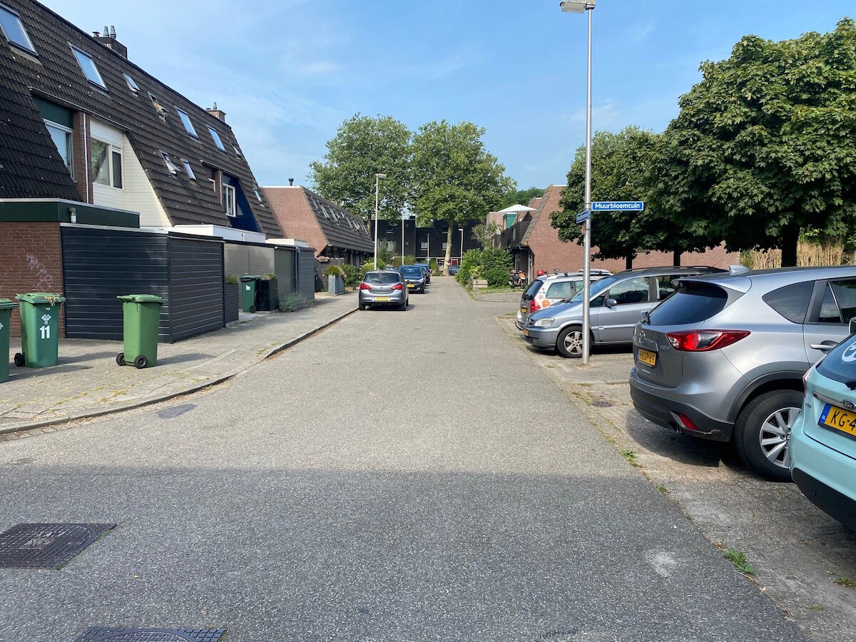 Buitenkijken in de achtertuin van Wim en Trudy die tegen de geluidsmuur ...