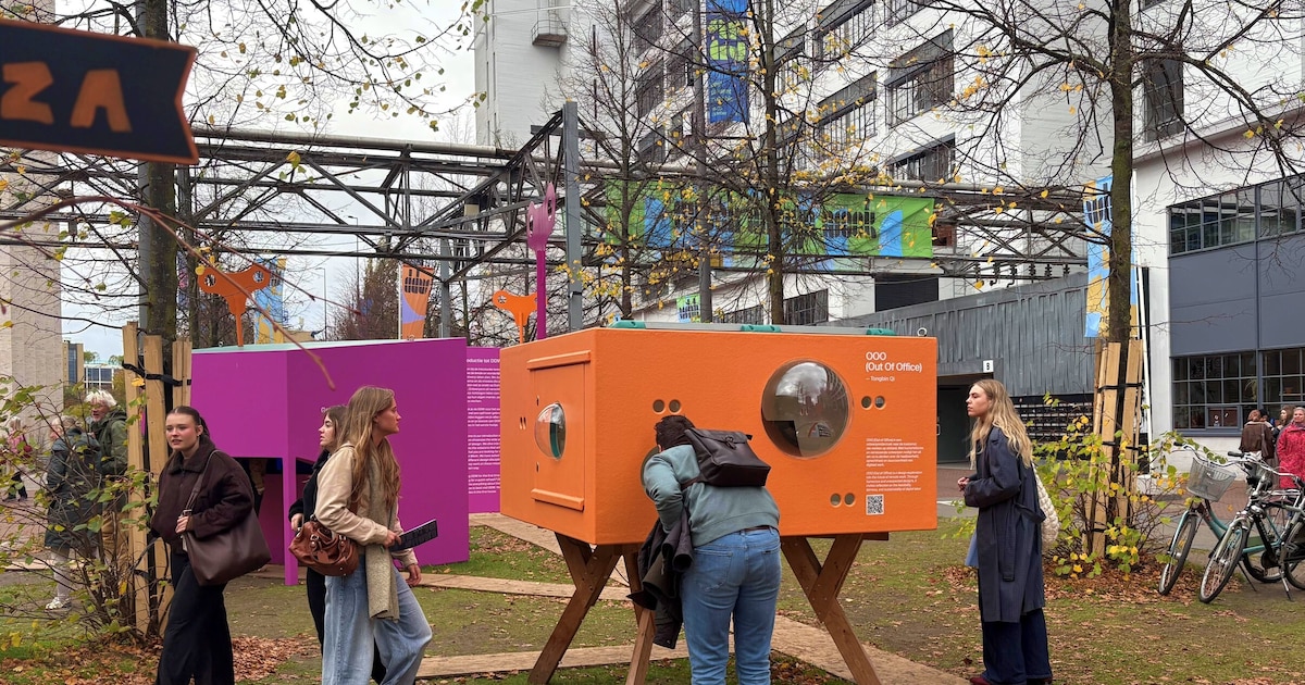 DDW 2025: alles wat je wil weten over de Dutch Design Week in Eindhoven ...