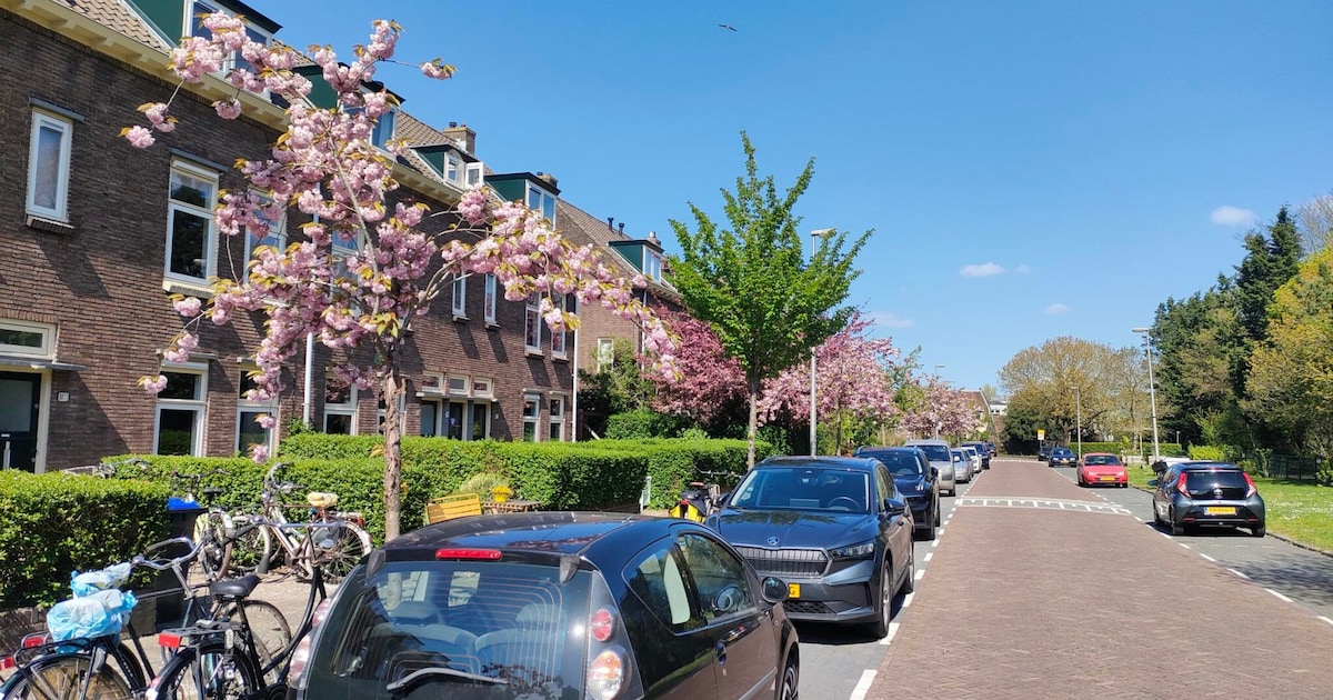 Betaald parkeren in Utrecht: check wanneer jouw wijk aan de beurt is ...