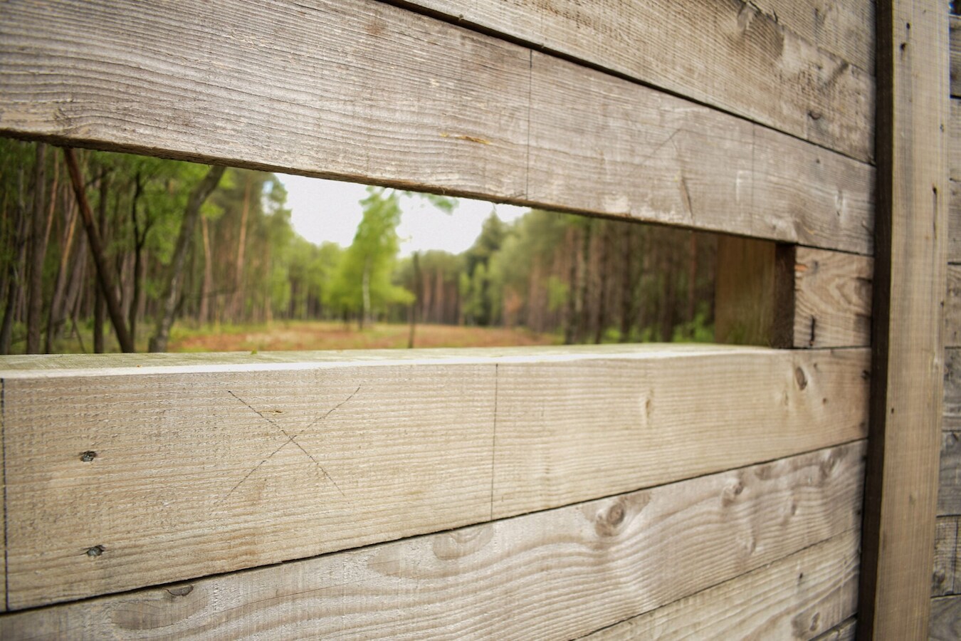 De werkdag van Victor: flora- en faunabeheerder gemeente Ede | Foto ...