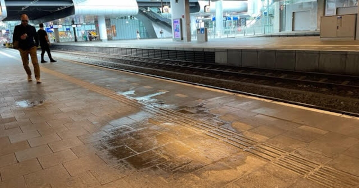 Deze vlek op Den Haag Centraal is inmiddels wereldberoemd op instagram ...