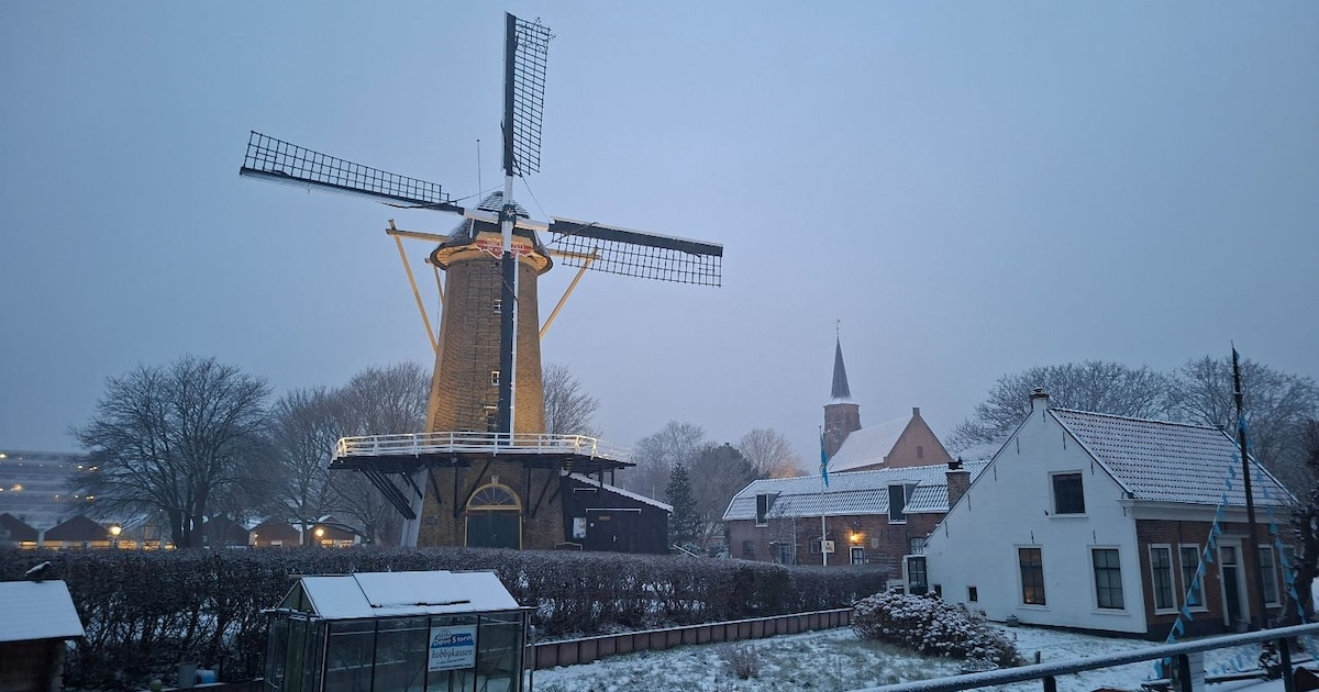 De mooiste foto's van Den Haag in de sneeuw | Regio | indebuurt.nl