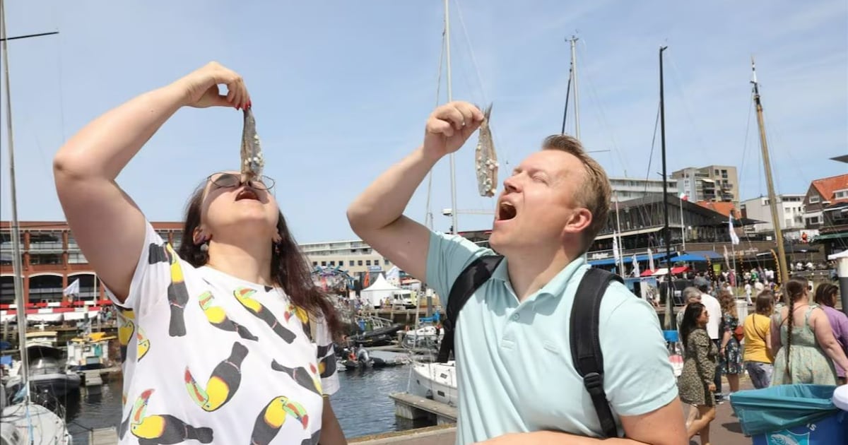 De Hollandse Nieuwe komt eraan: hier op Scheveningen eet je gratis ...