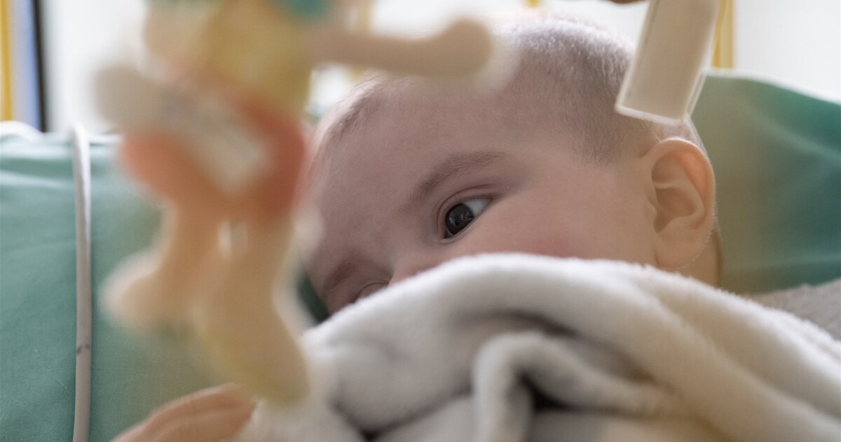 Is er sprake van een corona-babyboom? Zoveel baby's zijn geboren in ...