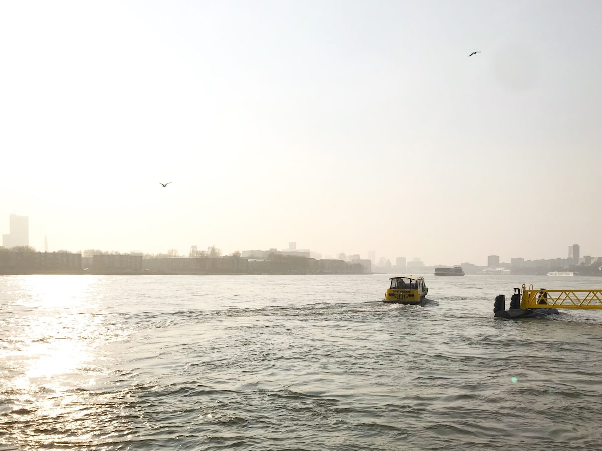 Van Rotjeknor tot Roffa: 9 x bijnamen van Rotterdam | Foto | indebuurt.nl