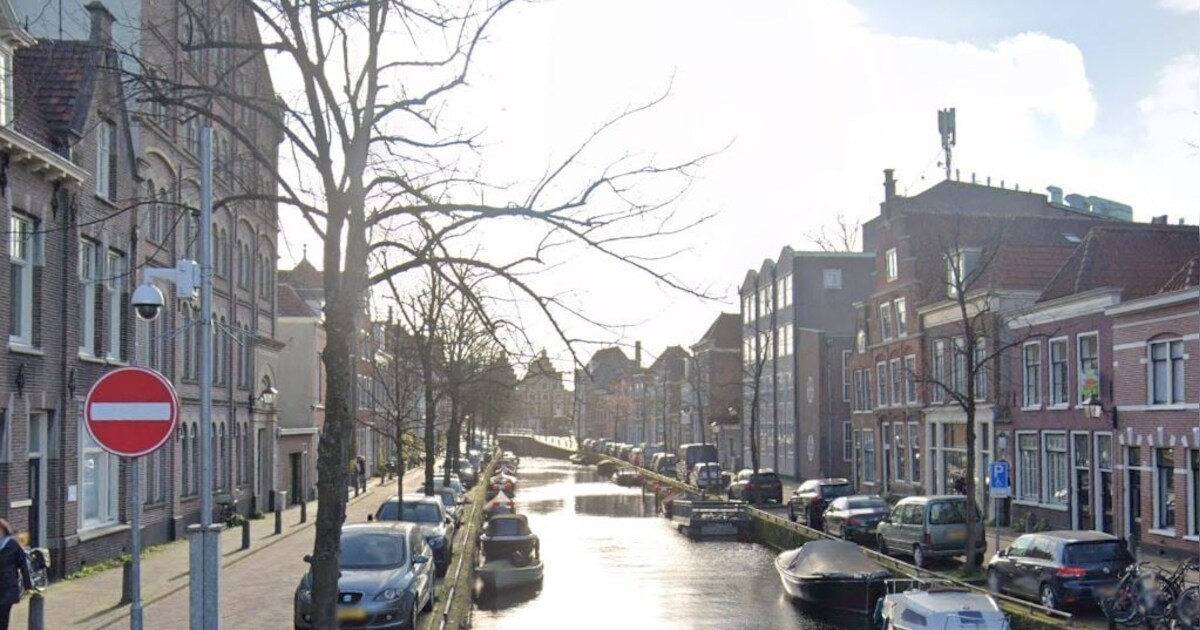 Weekendtips! 6 x deze leuke dingen doe je dit weekend in Haarlem ...