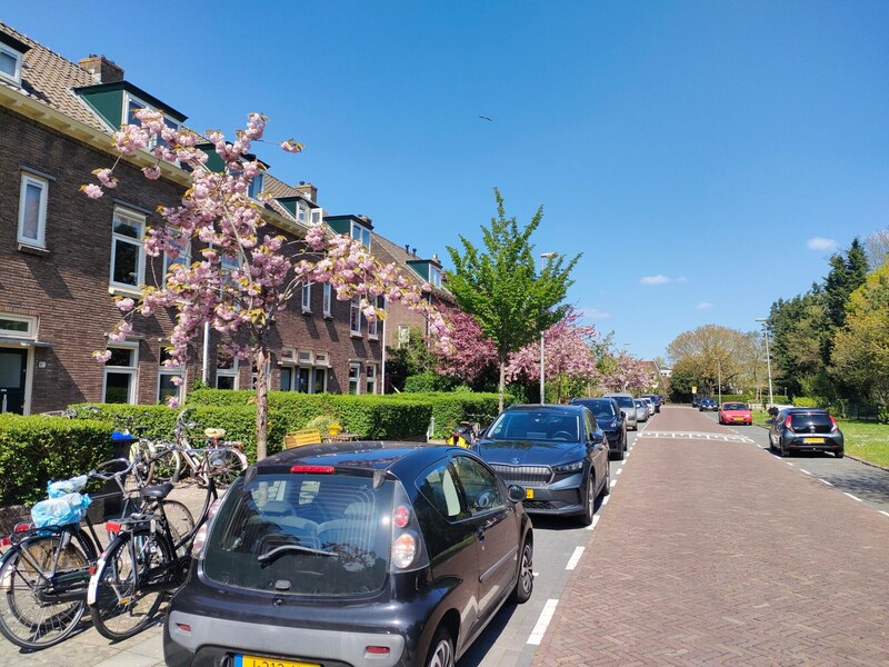 Betaald parkeren in Utrecht: check wanneer jouw wijk aan de beurt is ...