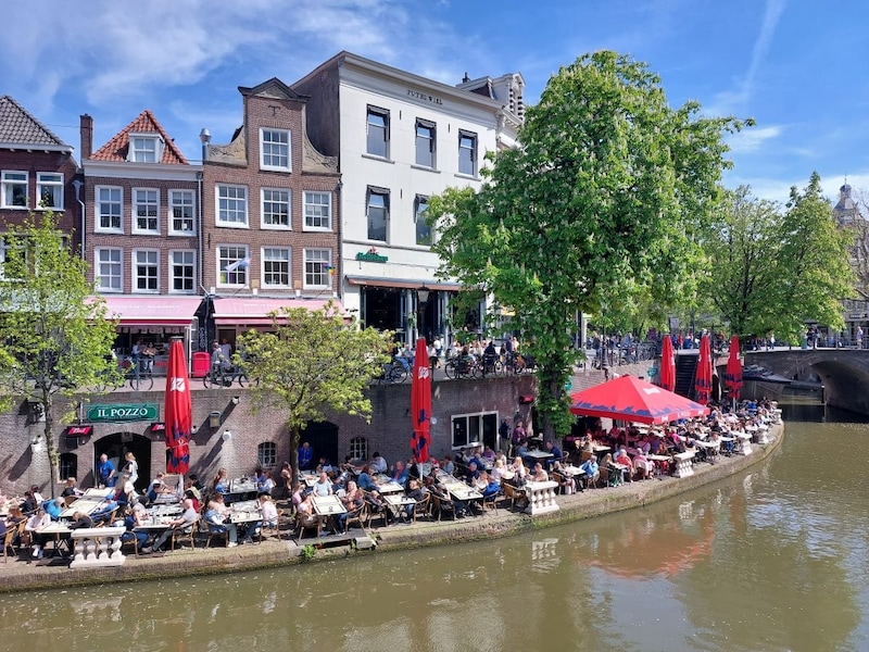 Proost! Deze terrassen in Utrecht staan in de Terras Top 100 | Regio ...