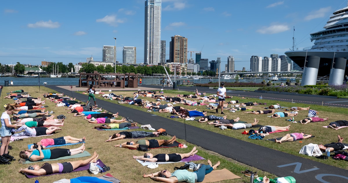 Adem in, adem uit: hier volg je gratis yoga met uitzicht over de ...