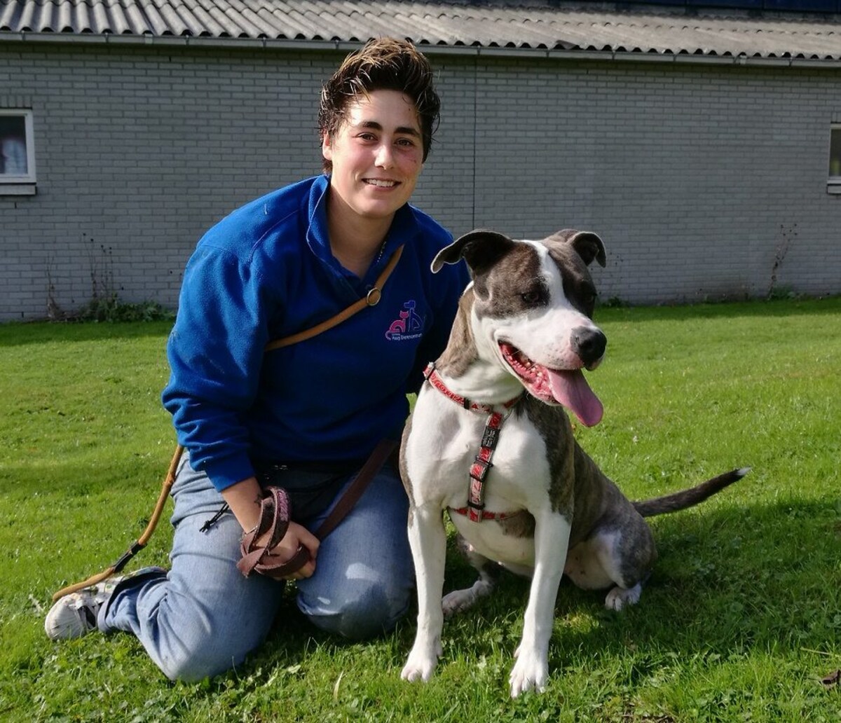 Pepsel heeft het niet makkelijk gehad en zoekt daarom een lief baasje ...