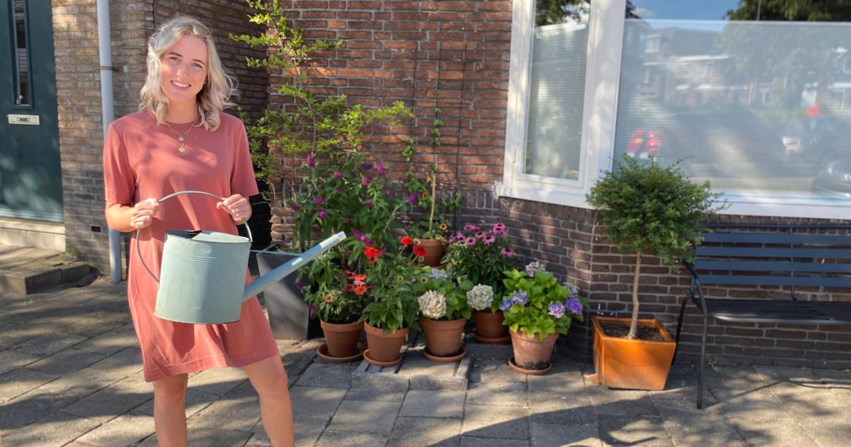 Geveltuintjes zijn hip! 11 x prachtige geveltuinen in Gouda | Regio ...