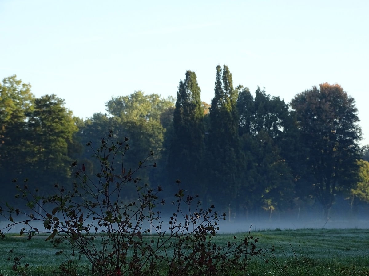 Leuk volgens local Karel: 'Ik heb de Piushaven helemaal zien opbloeien ...