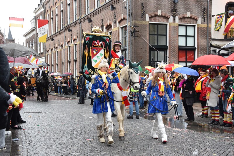 Wat een pracht: zo zag de Grote Optocht 2026 eruit in Den Bosch | Regio ...