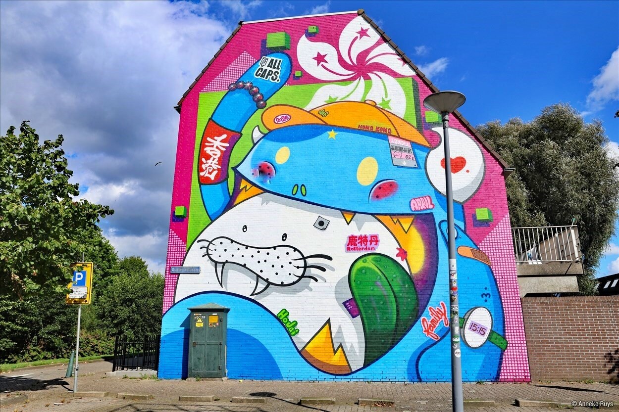 Street art in de Beverwaard: 9 x nieuwe muurschilderingen | Foto ...