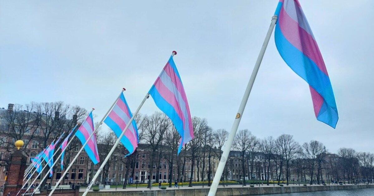Daarom wapperen er roze-blauw-witte vlaggen bij de Hofvijver | Regio ...