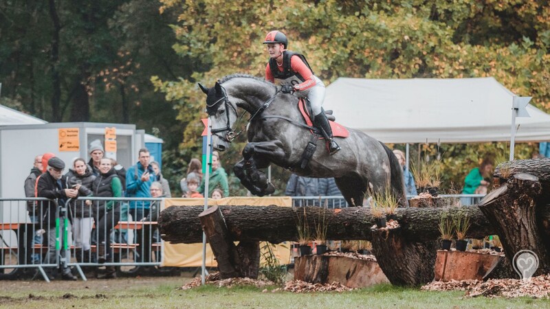 Hindernissen, paarden en de Watermulder: hier geniet je van ...