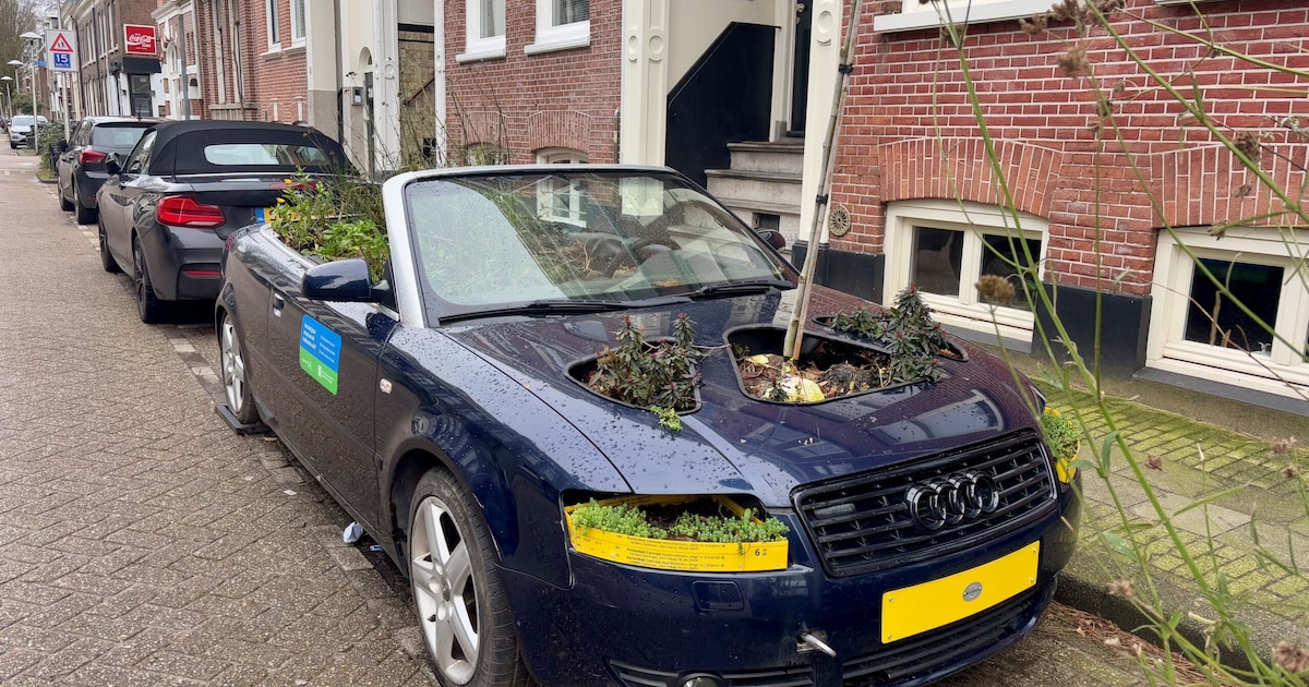 Vroem vroem! Deze Utrechtse plantenbak komt niet vooruit | Regio ...