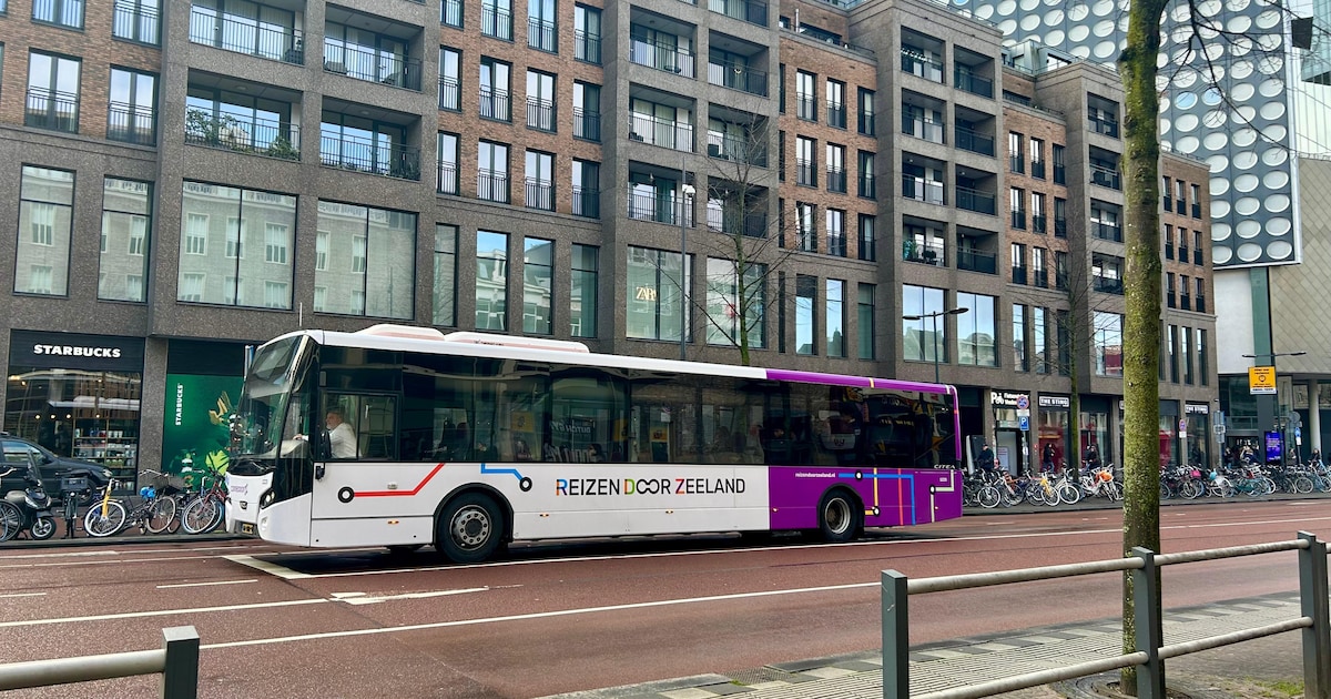 Paars-witte verrassing op Vredenburg: ineens staat daar een Zeeuwse bus ...