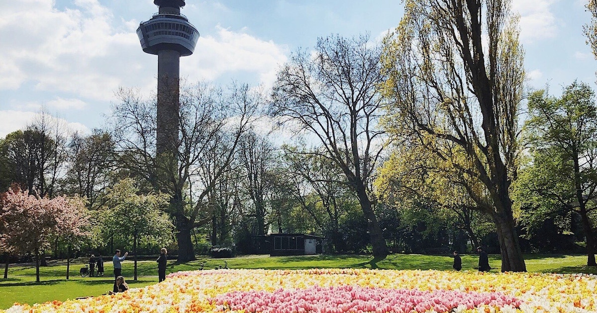 Dit is de laatste weersverwachting voor Pasen 2019 in Rotterdam | Weer ...