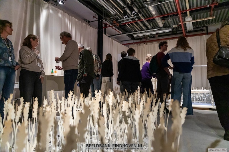 DDW 2025: alles wat je wil weten over de Dutch Design Week in Eindhoven ...