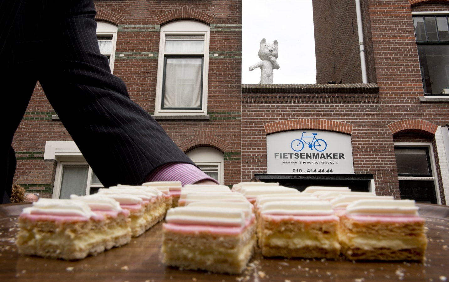 Aha! Hierom staat er een witte poes op een dak op het Noordereiland ...