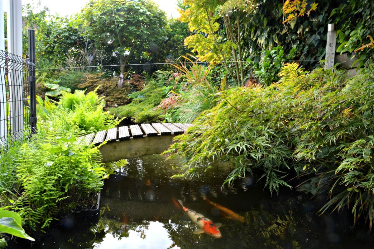 De tuin van Gerard en Corry: 'We hebben voor geen enkele plant de volle ...