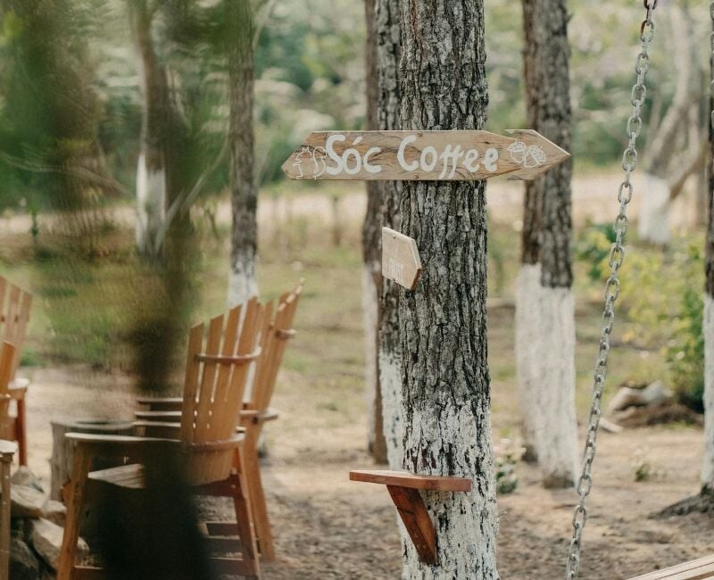 Genieten in de natuur vlakbij Hengelo: deze boscafés zijn een omweg ...