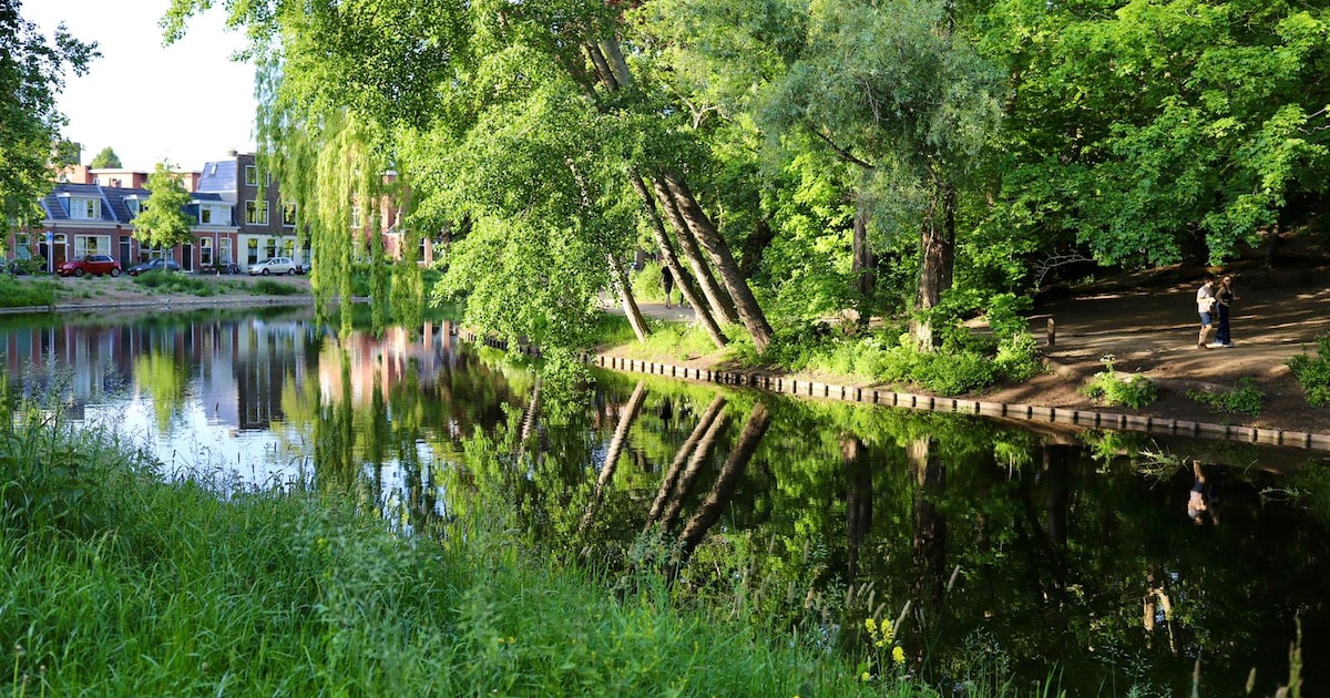 Wonen aan het park: deze huizen in Groningen staan nu te koop | Regio ...