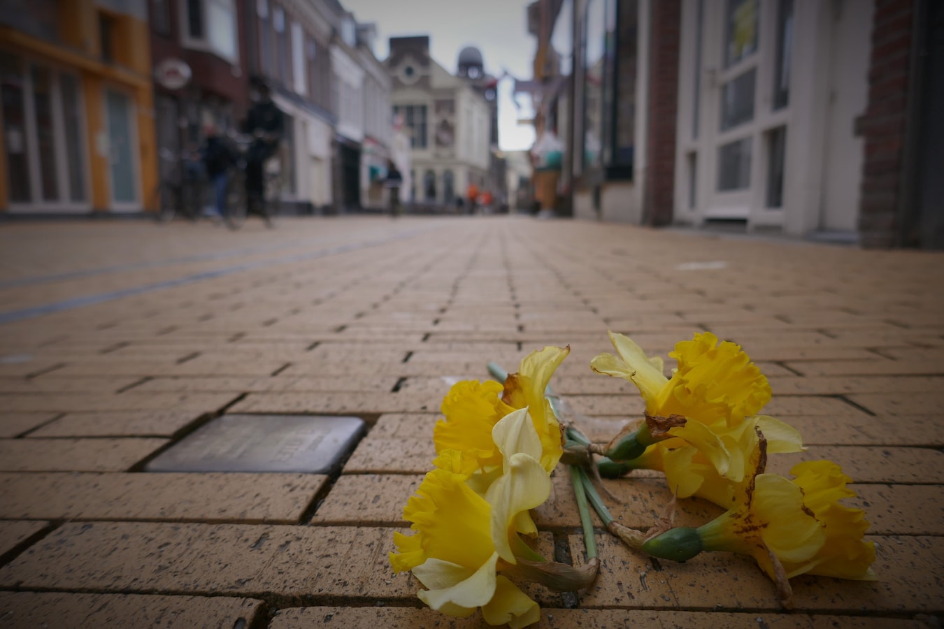 Joodse Liny herenigd met geboortehuis: 'Ze probeerden een heel volk uit ...