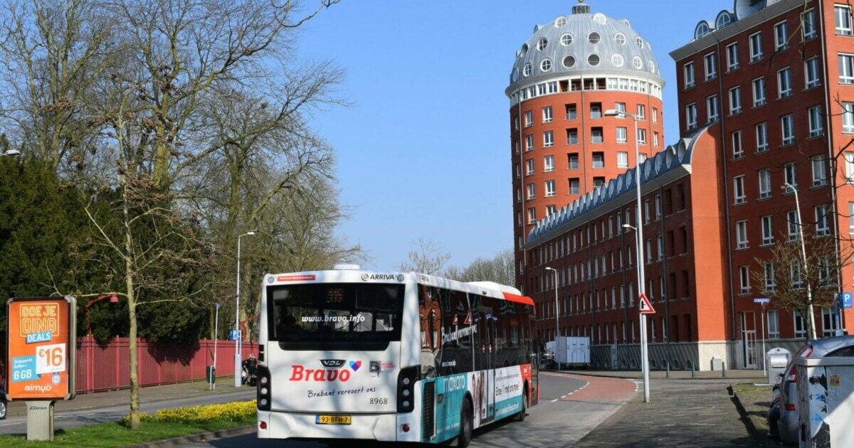 Mag dat: je hond (gratis) meenemen in de bus in Breda? | Nieuws ...