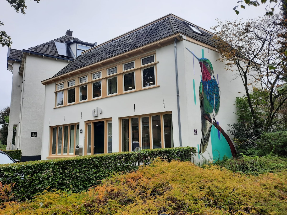 Streetart in Apeldoorn: twee nieuwe graffitikunstwerken erbij in de ...