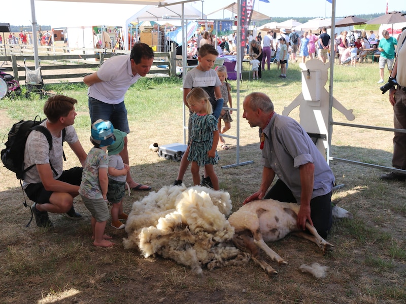 Weekendtips: deze dingen doe je in Ede (19-21 juni) | Regio | indebuurt.nl