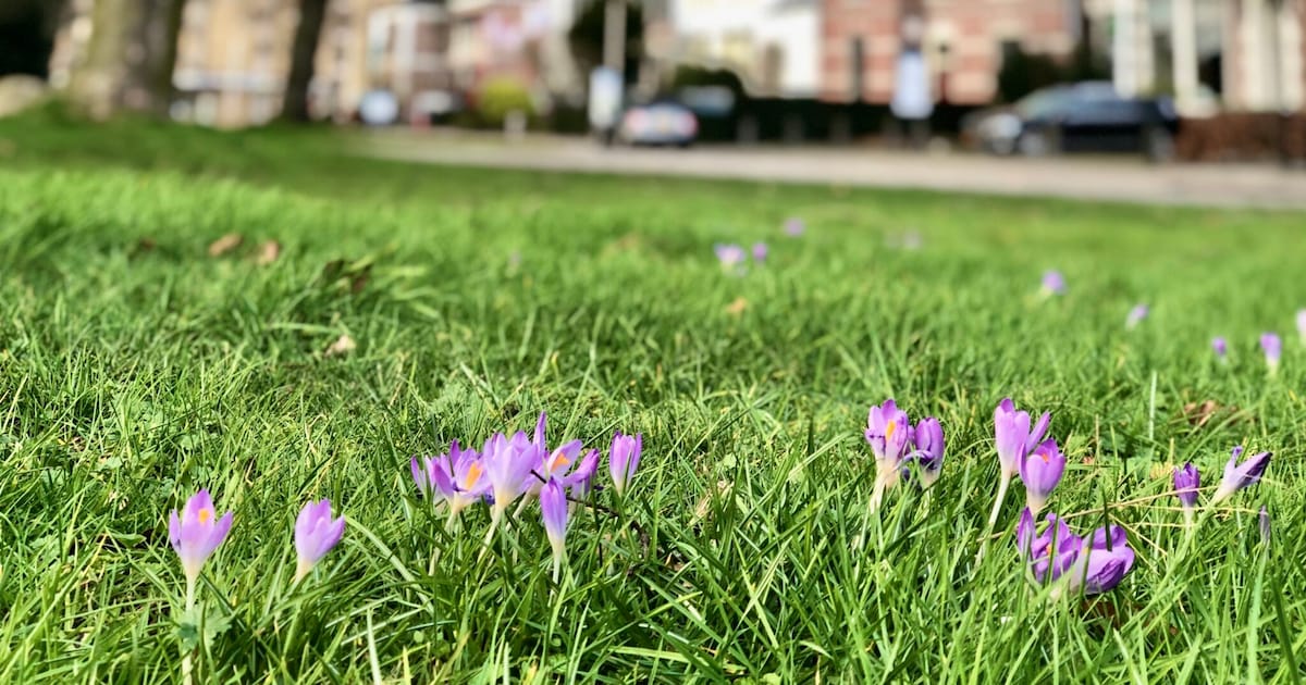 Mooi weer, evenementen en meer: 5 x waarom we zin hebben in de lente ...