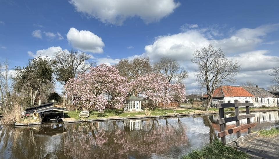 Instant lentegeluk: 5 x prachtige magnolia's in Woerden | Foto ...