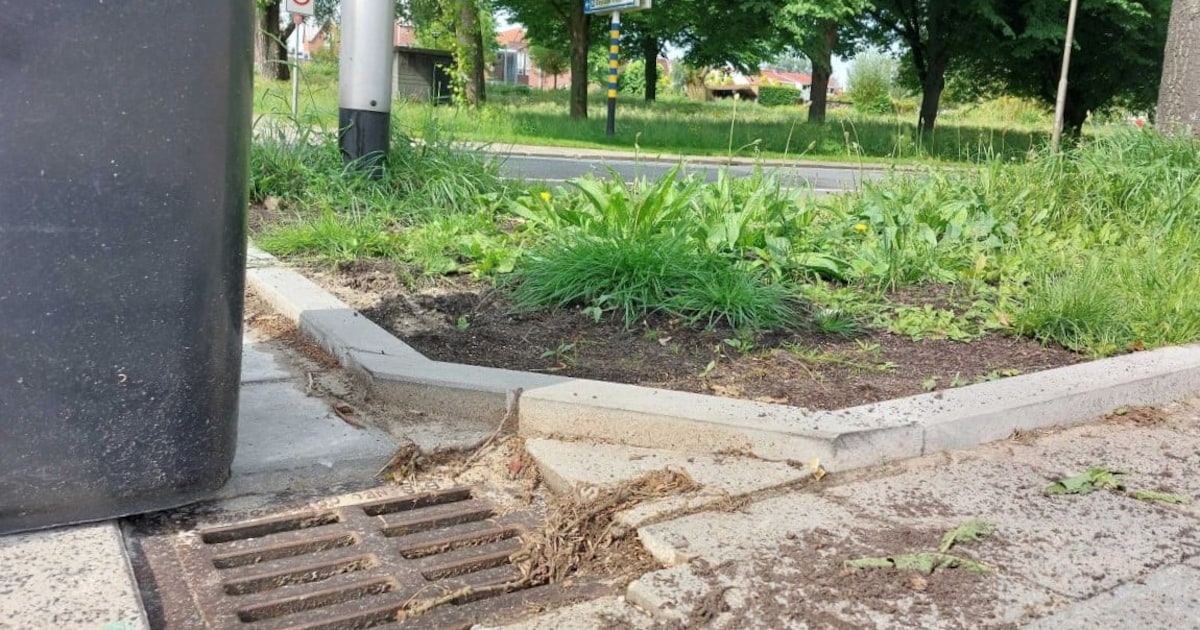 Put verstopt? Check hier hoe je dat op kan lossen in Zoetermeer | Regio ...