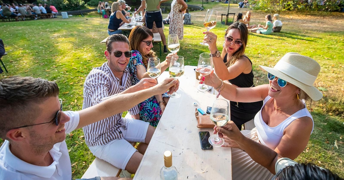 Lekker samen borrelen: het Wijnfestival komt naar Den Bosch | Regio ...