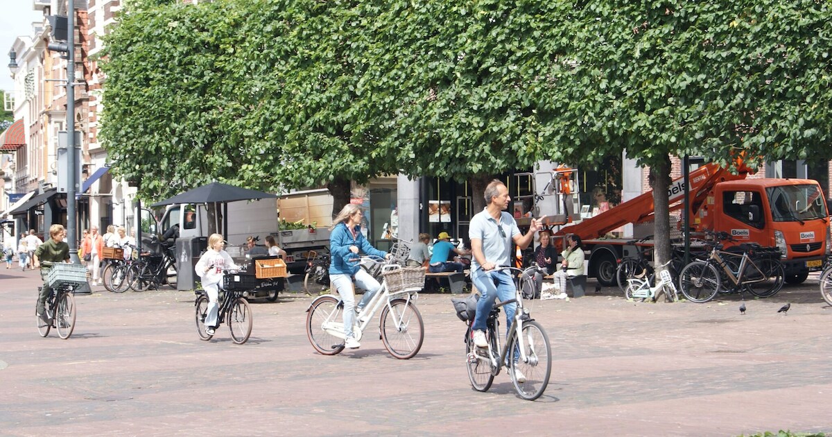 Deze dingen doe je dit weekend in Haarlem (5 – 7 september) | Regio ...