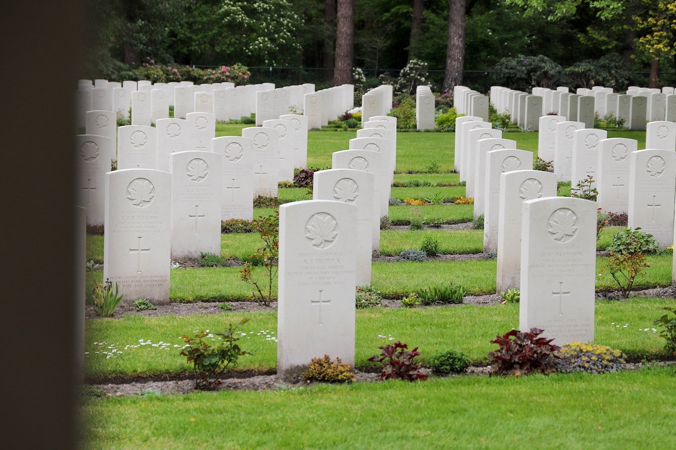 Zin in! Dit is er in december te doen in Bergen op Zoom | Foto ...