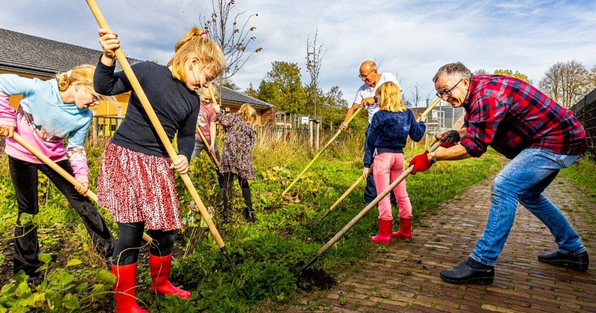 Bergen op Zoom een opfrisbeurt geven: zo doe jij mee met NLdoet | Regio ...